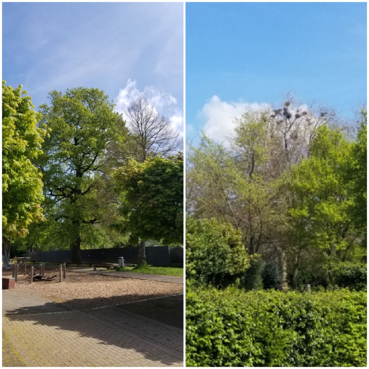 Wochenrückblick 18 – 2023 oder von einer wiedergefundenen Leseprobe, einer strapazierten ...